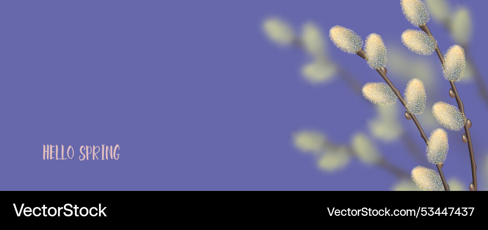 Spring willow in bloom Royalty Free Vector Image