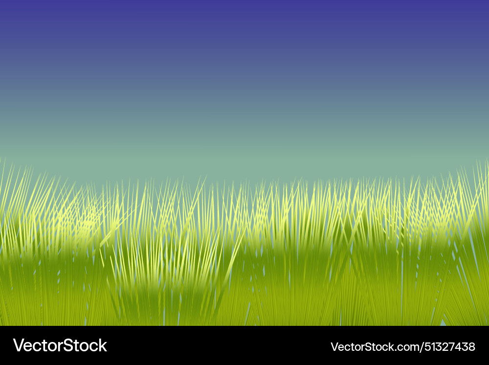 Green grass Royalty Free Vector Image - VectorStock