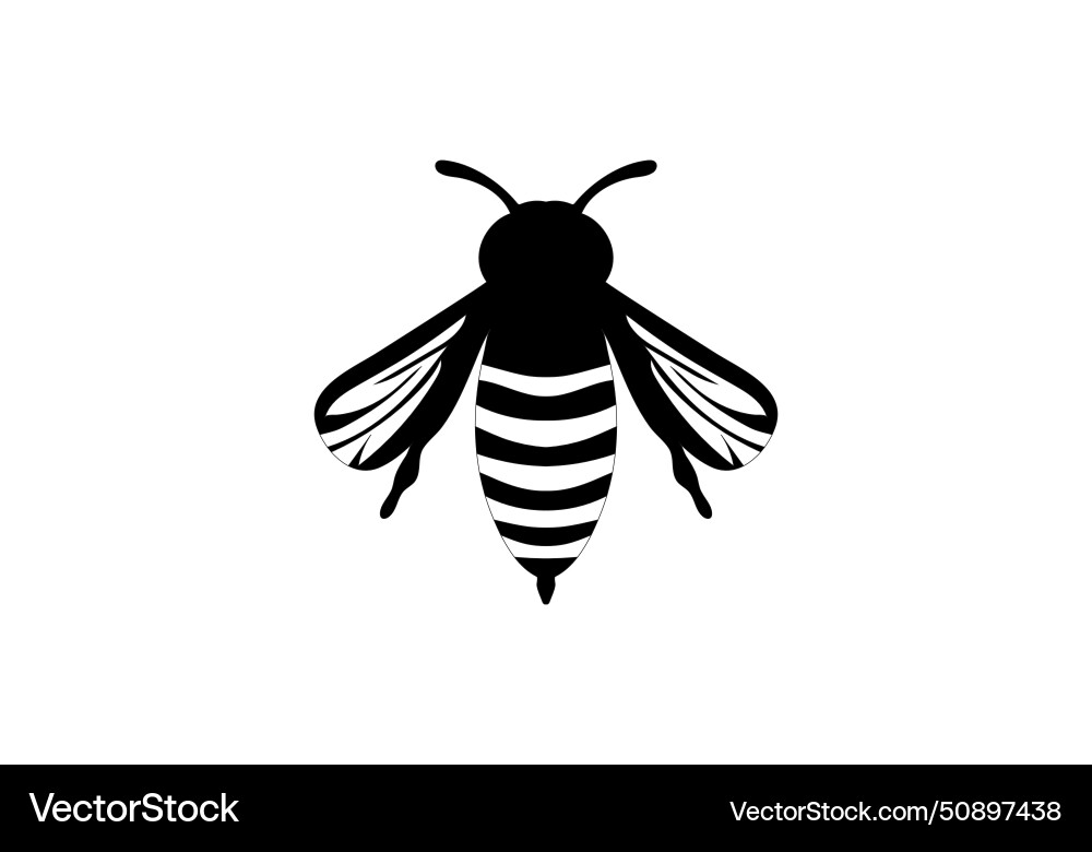 Styish africanized bee killer bee minimal icon Vector Image