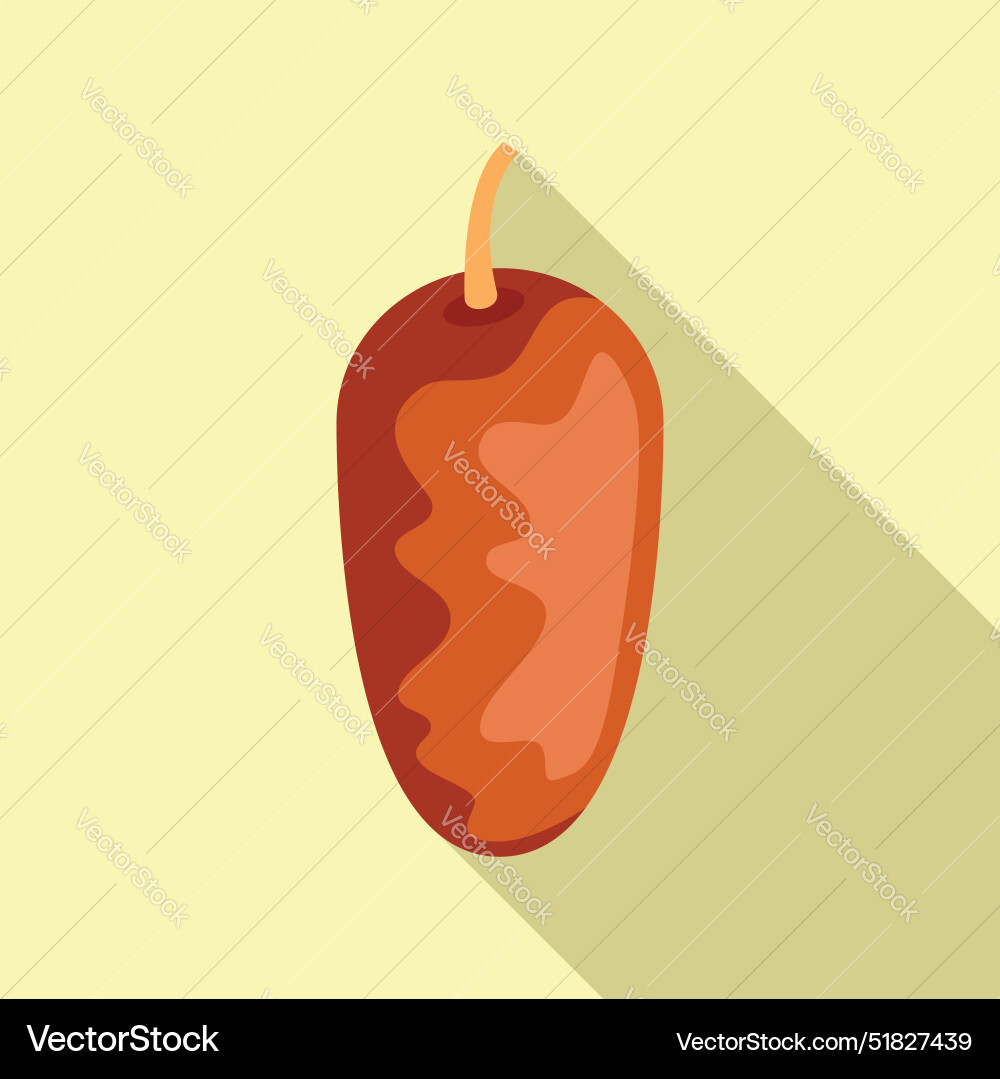 Dried date fruit growing on date palm branch icon Vector Image