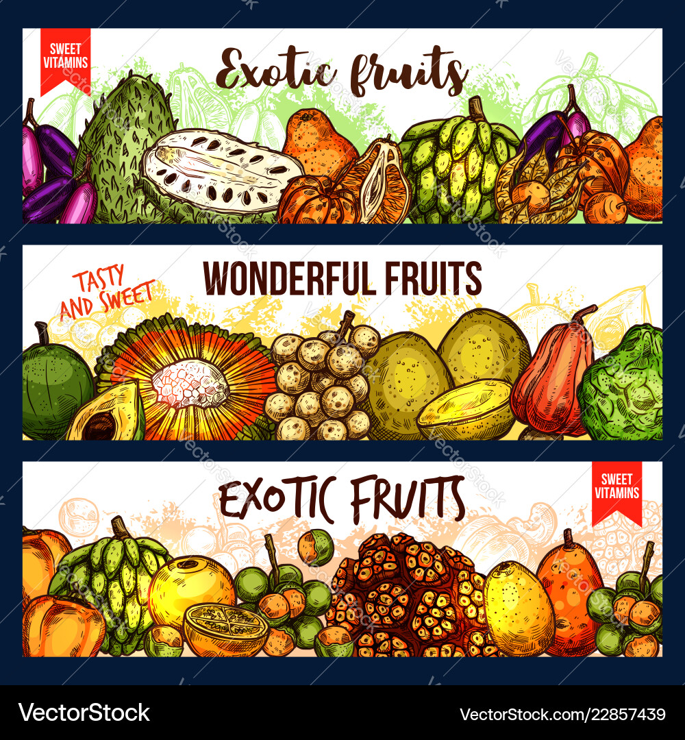 Fruits from exotic countries sketch Royalty Free Vector