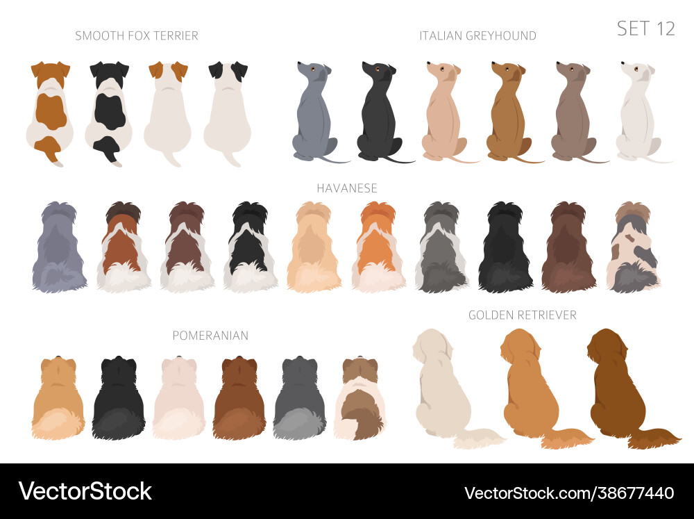 Sitting dogs backside clipart rear view Royalty Free Vector