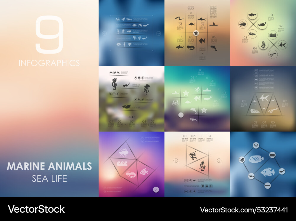Marine animals infographic with unfocused Vector Image