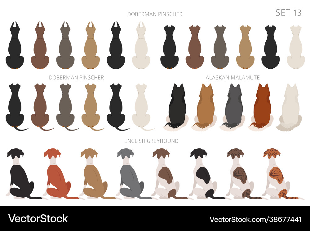 Sitting dogs backside clipart rear view Royalty Free Vector