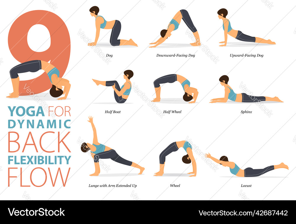 Yoga Poses For Back Flexibility Dynamic Back Stretching Pose