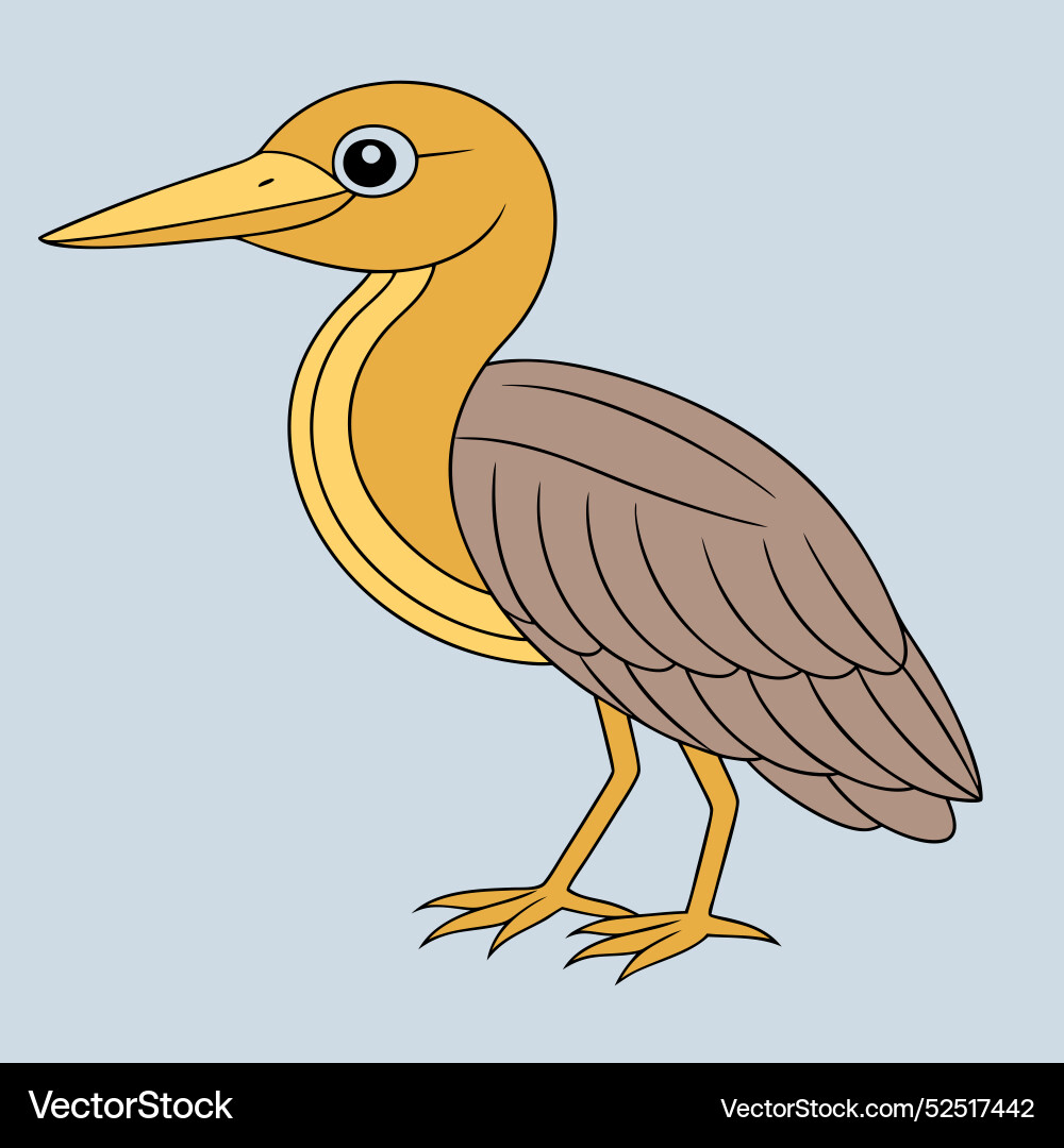 American bittern cartoon color Royalty Free Vector Image