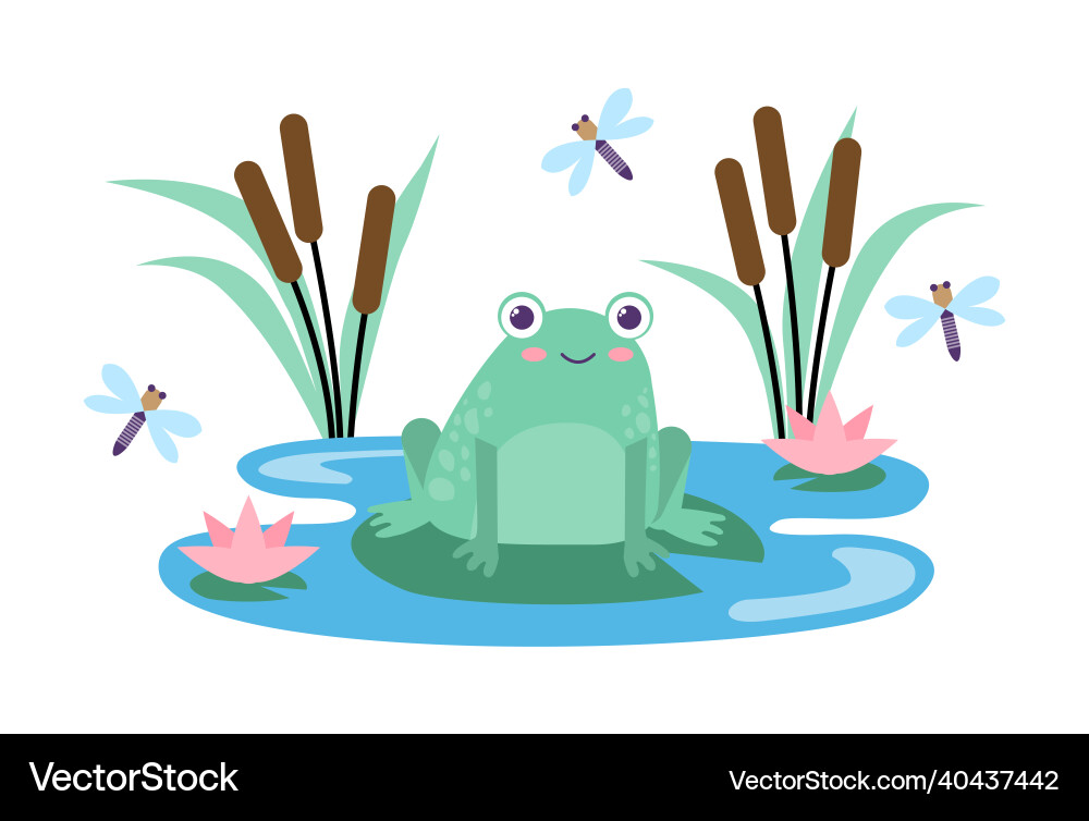 Cute frog concept Royalty Free Vector Image - VectorStock