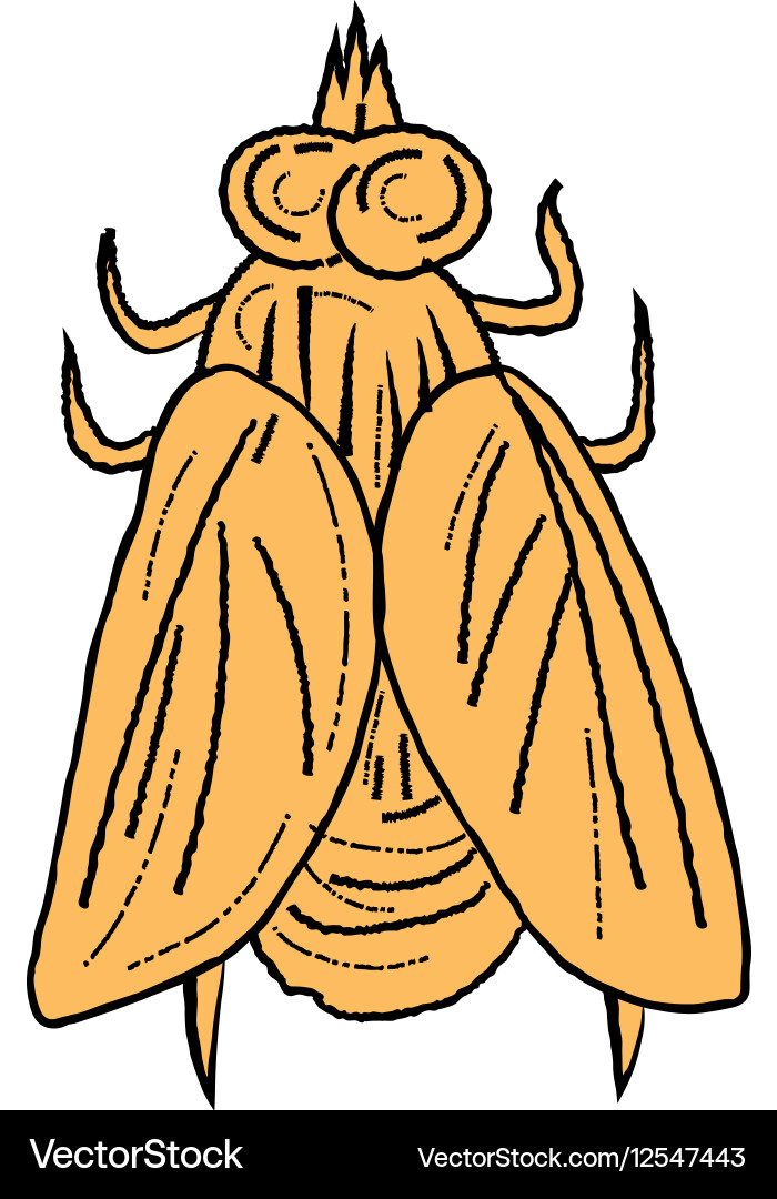 Fly top view drawing Royalty Free Vector Image