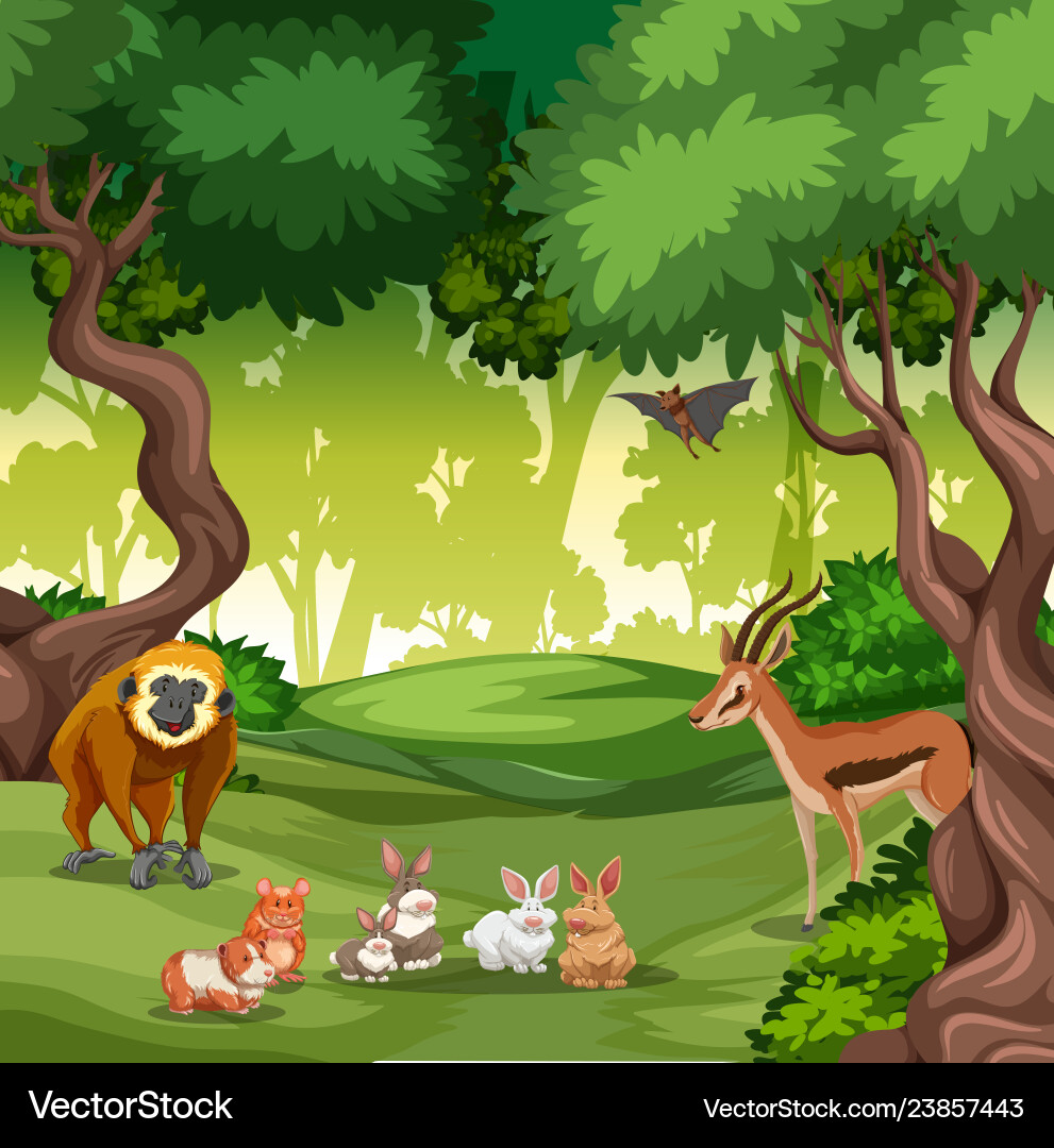 Forest Animal Scene Royalty Free Vector Image - VectorStock