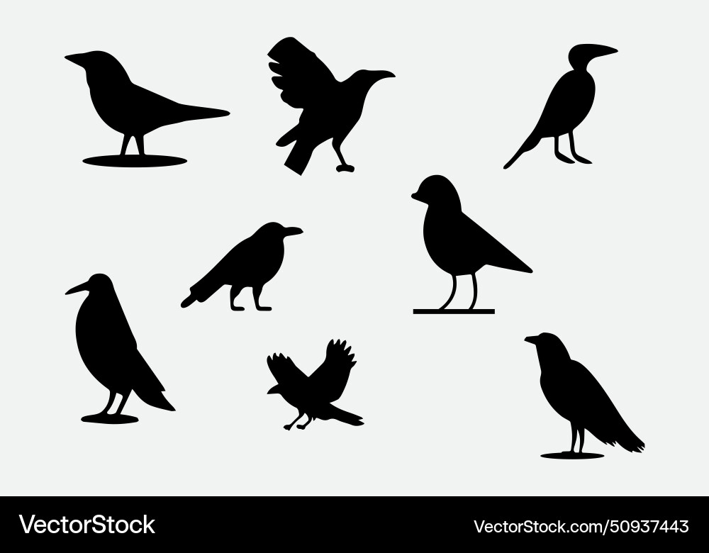 Minimal style crow icon design Royalty Free Vector Image
