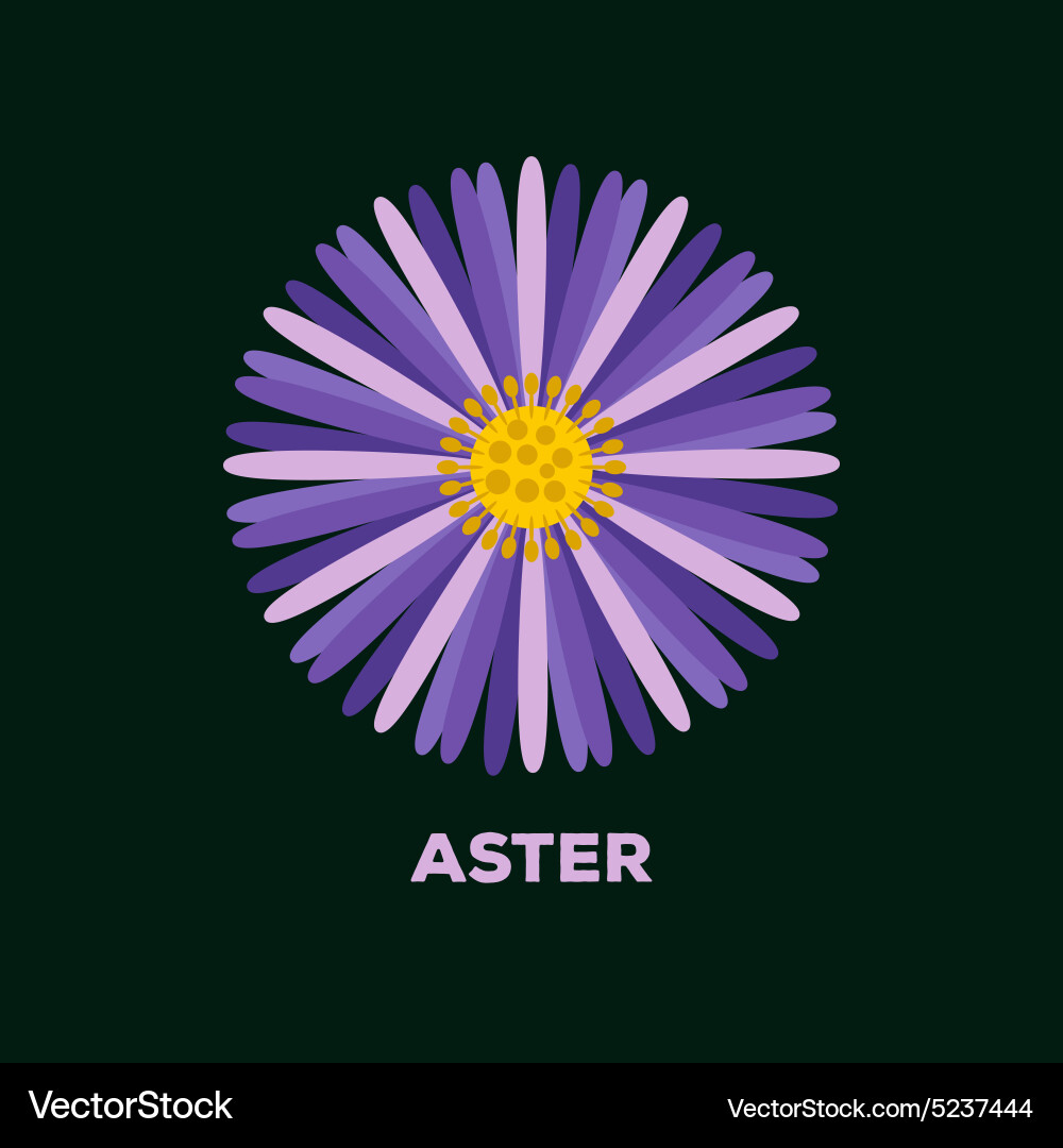 Aster Logo Vector Images (over 830)