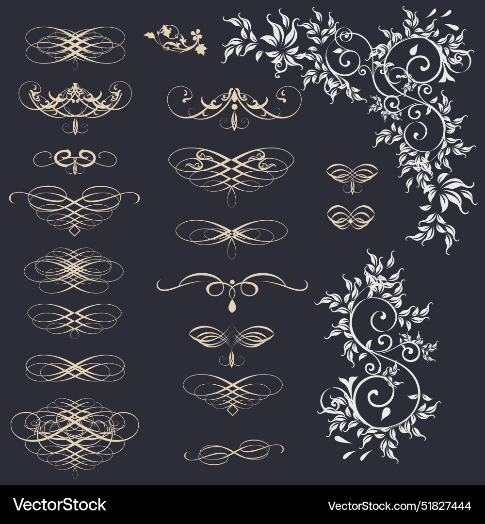 Collection of calligraphic elements florals Vector Image
