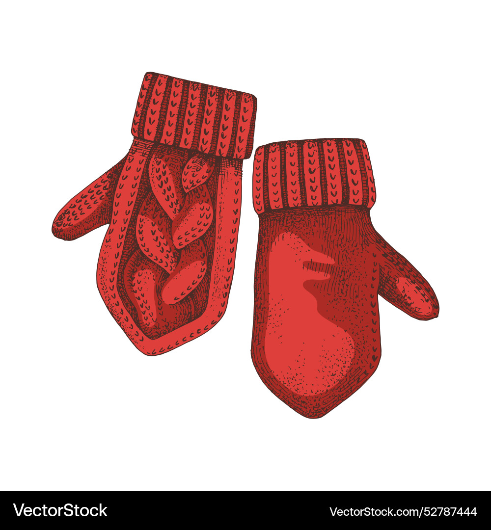 Cosy red mittens hand drawn Royalty Free Vector Image