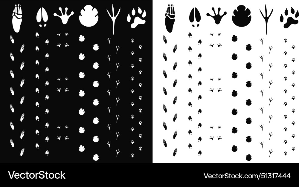 Paw print Royalty Free Vector Image - VectorStock