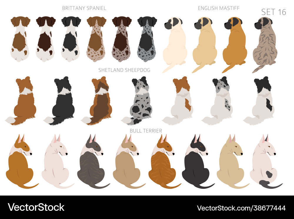 Sitting dogs backside clipart rear view Royalty Free Vector