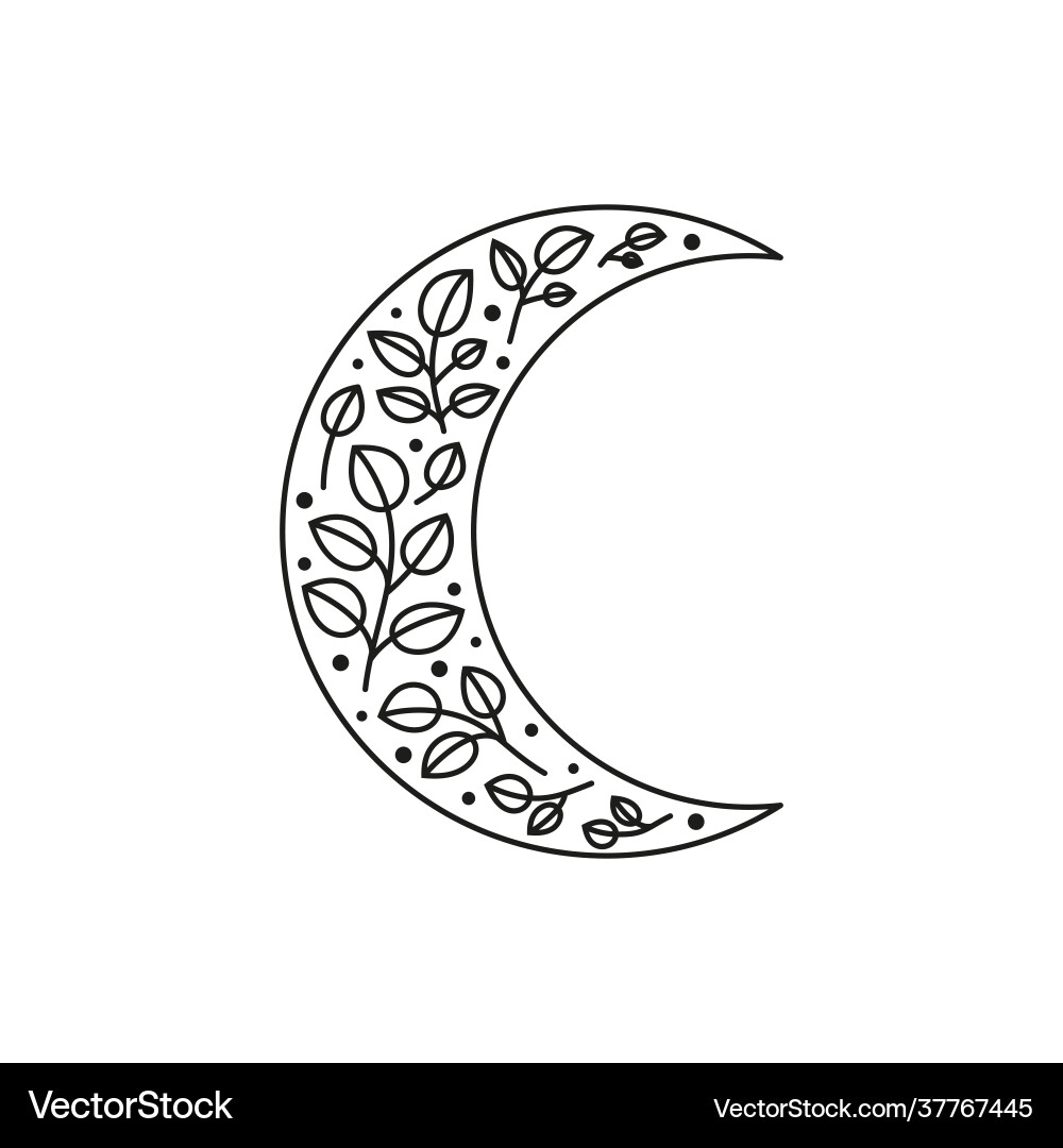 Boho floral crescent moon with leafy branches Vector Image