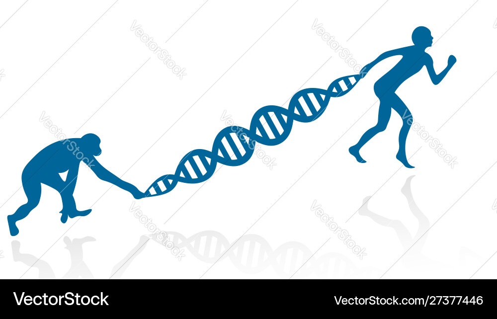 Evolution Royalty Free Vector Image - VectorStock