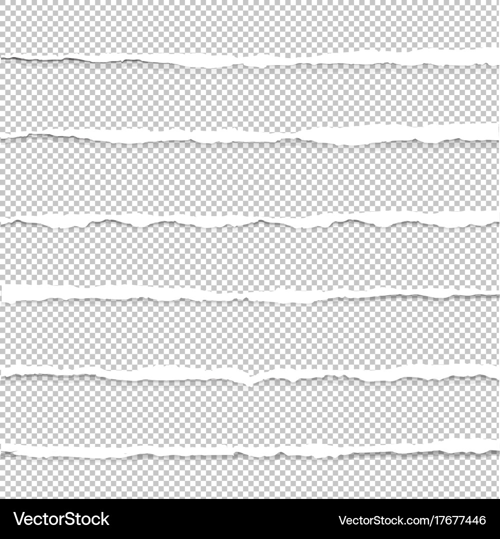 Ripped paper Royalty Free Vector Image - VectorStock