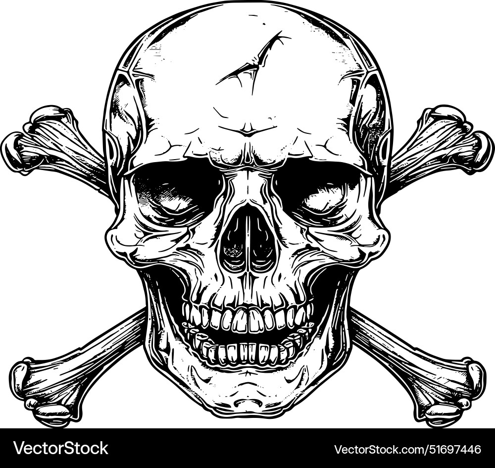 Skull and crossbones Royalty Free Vector Image