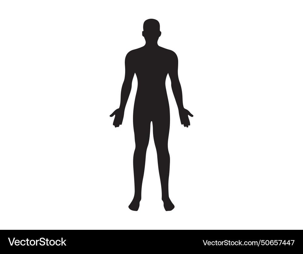 Human body silhouette art Royalty Free Vector Image