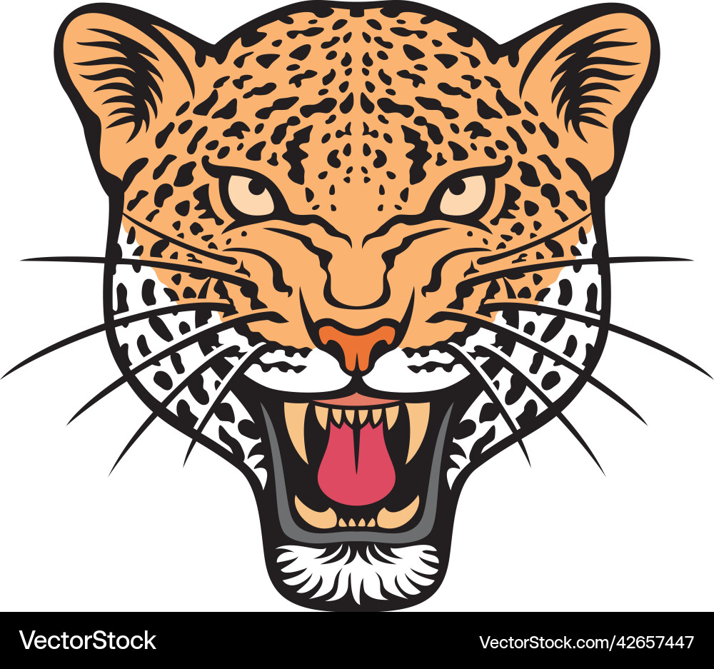 Leopard face color Royalty Free Vector Image - VectorStock