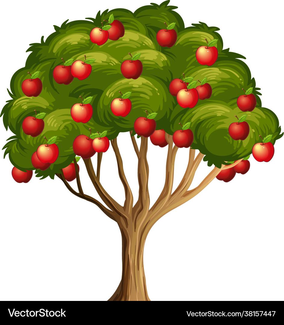 Red apples on a tree isolated white background Vector Image