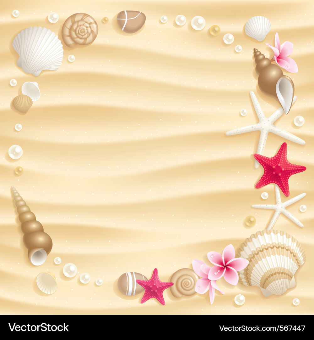 Seashell background Royalty Free Vector Image - VectorStock