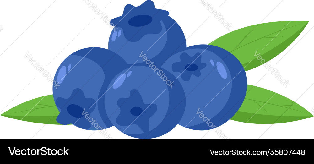 Blueberry fruit icon Royalty Free Vector Image
