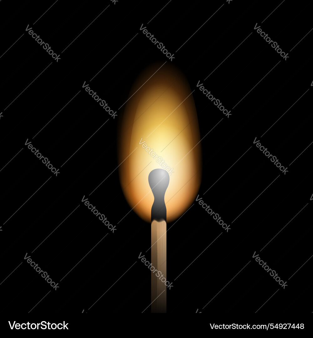 Burning match - flaming matchstick Royalty Free Vector Image