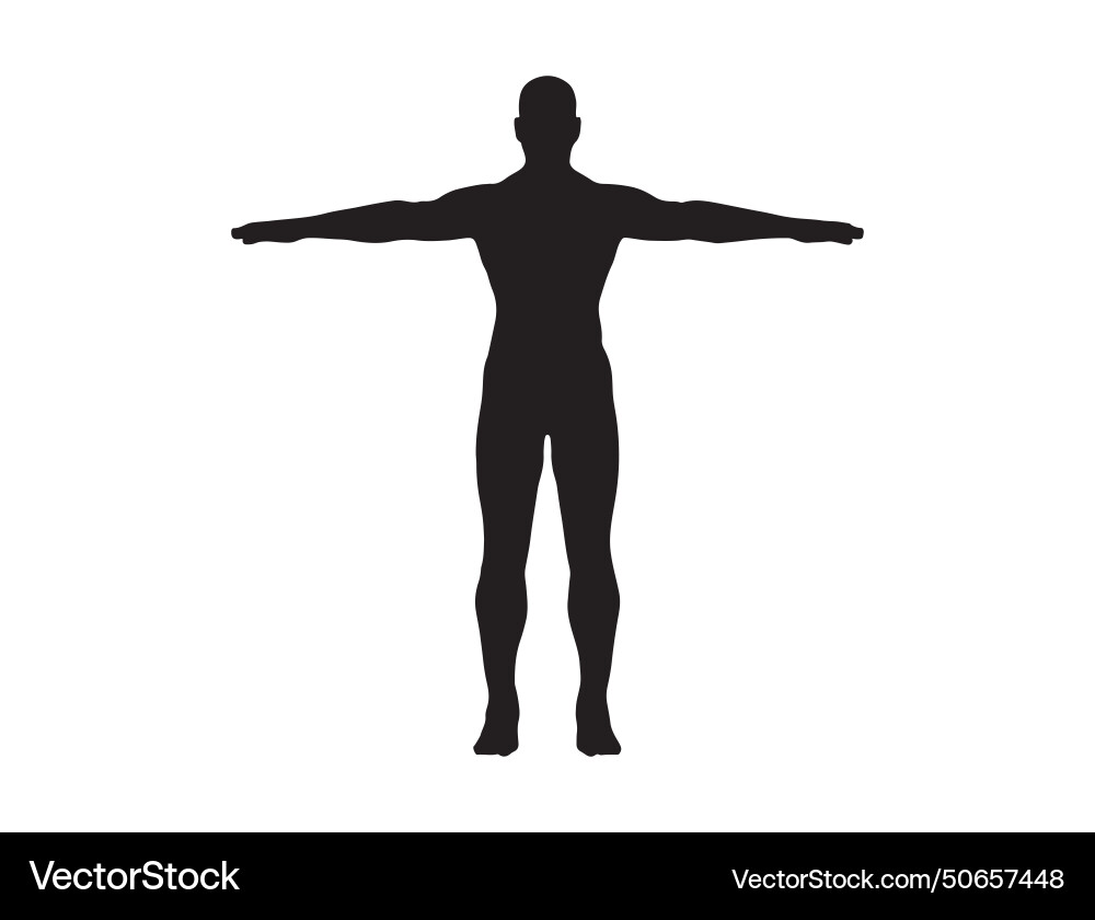 Human body silhouette art Royalty Free Vector Image