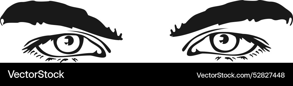 Human brows and eyes male face element drawing Vector Image