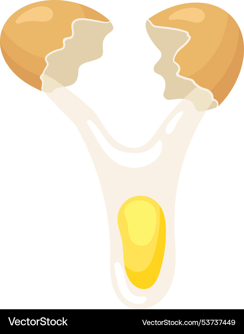 Break egg with falling yolk for cooking recipe Vector Image