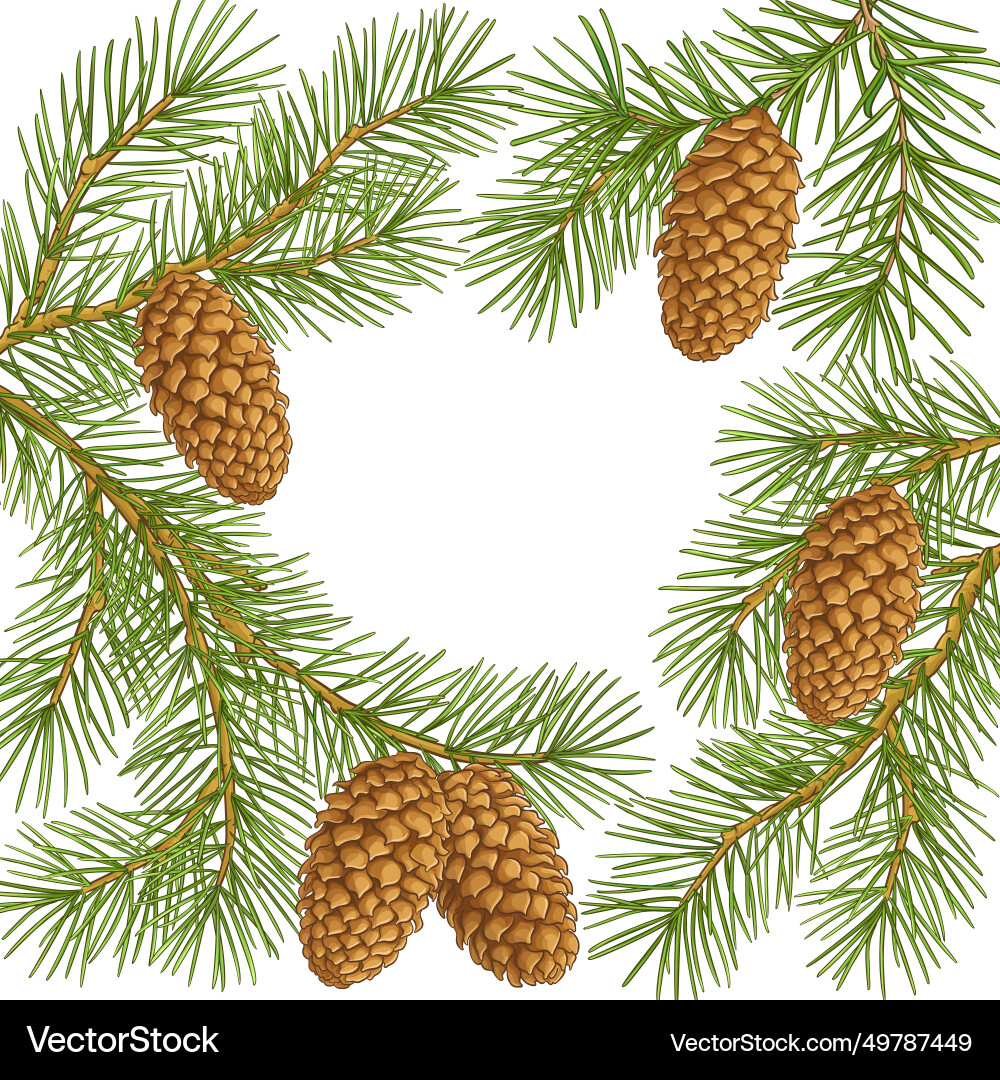 Fir tree frame Royalty Free Vector Image - VectorStock