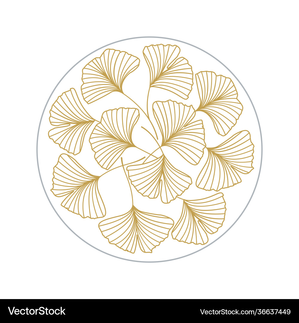 Ginkgo biloba leaves Royalty Free Vector Image