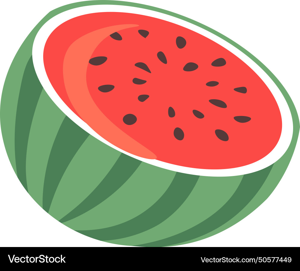 Watermelon organic summer fruit for healthy diet Vector Image
