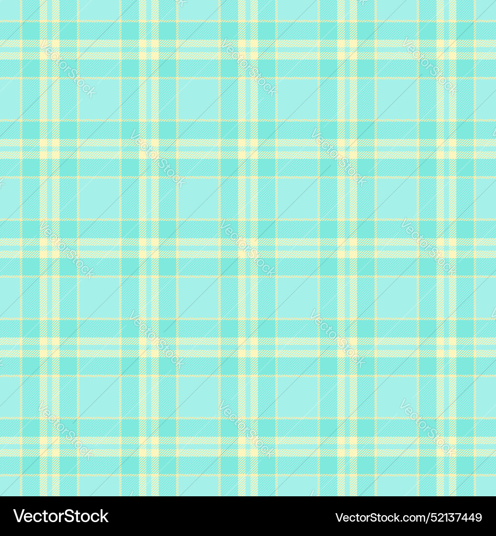 Woman texture check commerce seamless plaid Vector Image