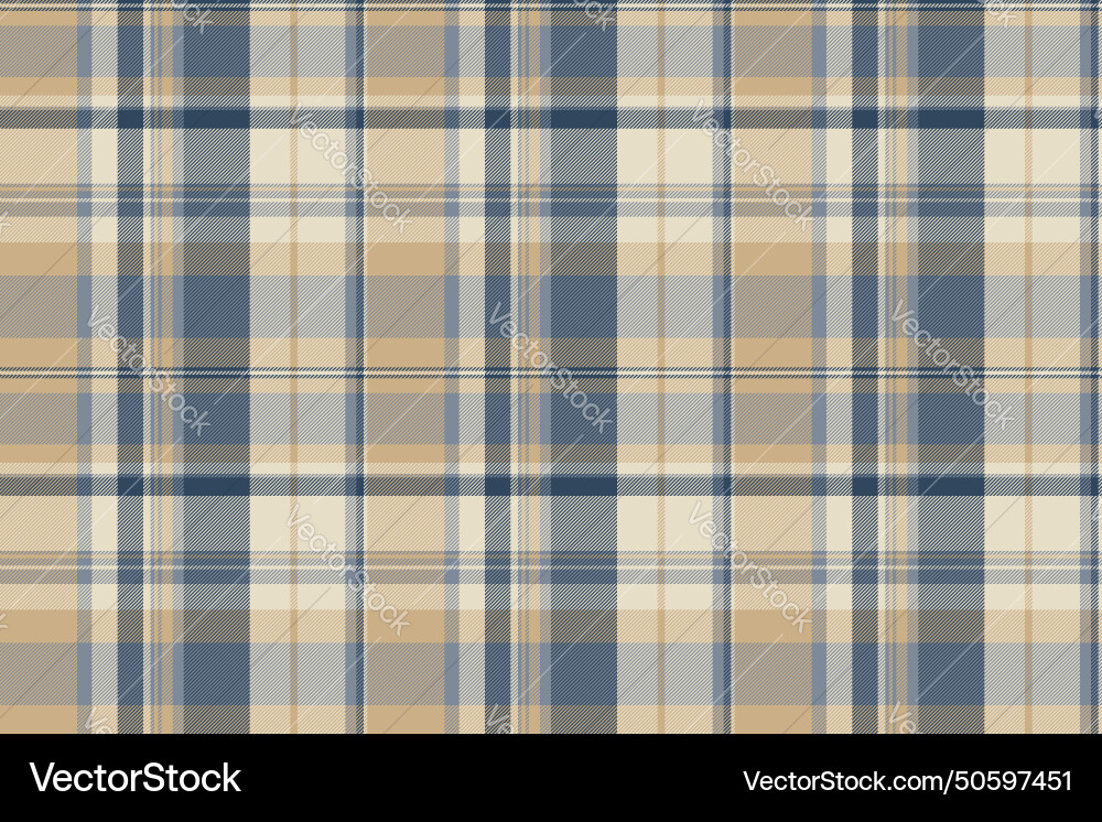 Industrial plaid check frame pattern textile Vector Image