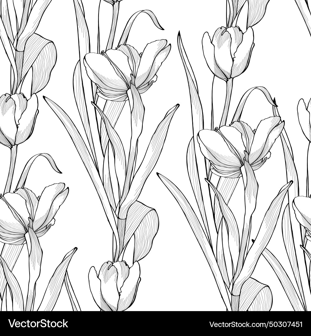 Nature seamless pattern hand drawn tulips Vector Image