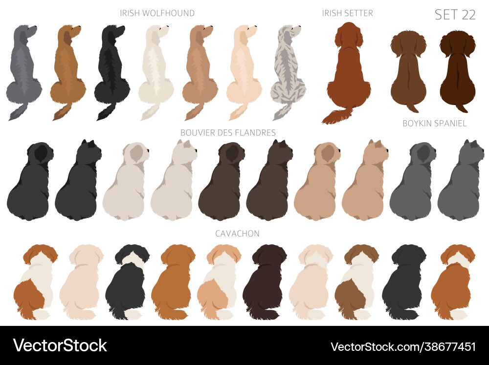 Sitting dogs backside clipart rear view Royalty Free Vector
