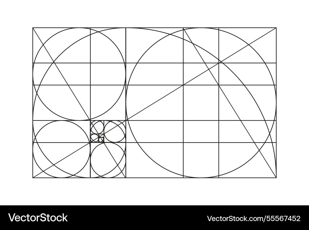 Golden ratio template method section Royalty Free Vector