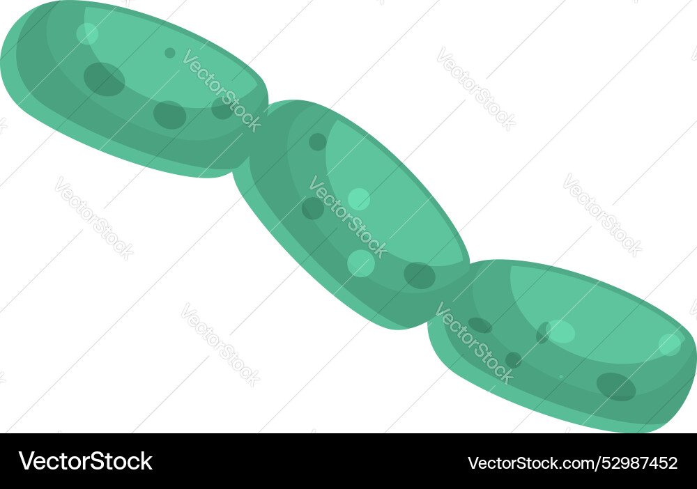 Green streptococcus bacteria forming a chain Vector Image