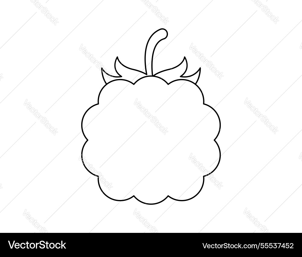 Raspberry outline for coloring book template Vector Image