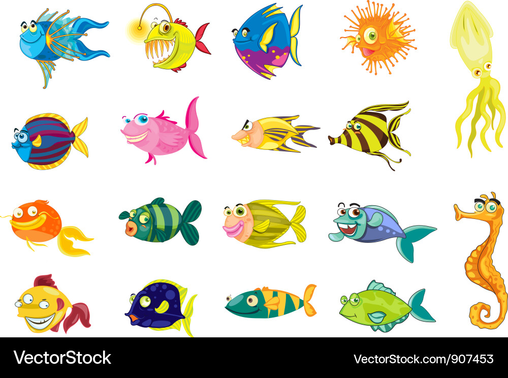 Fish collection Royalty Free Vector Image - VectorStock