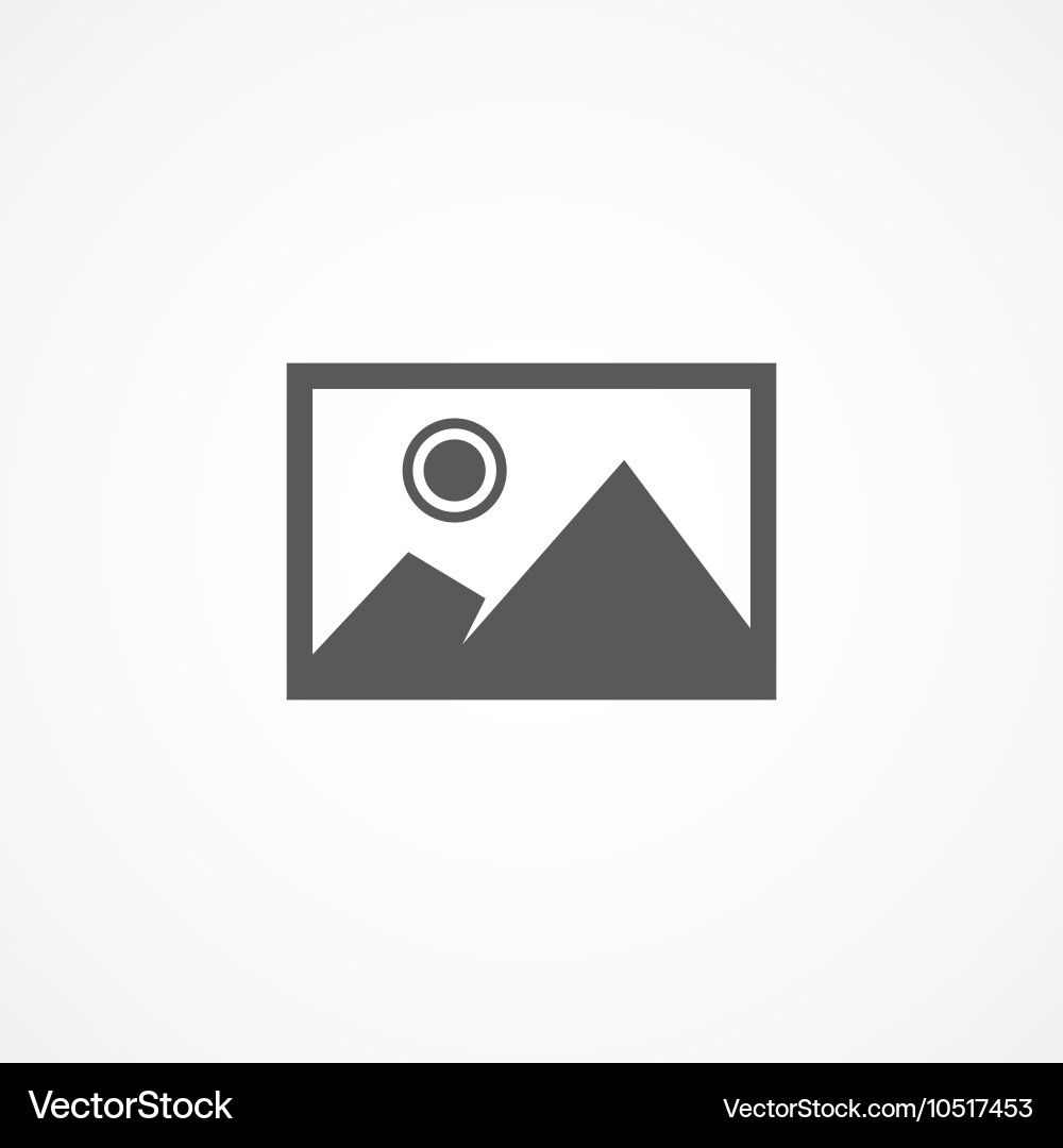 Photo icon Royalty Free Vector Image - VectorStock