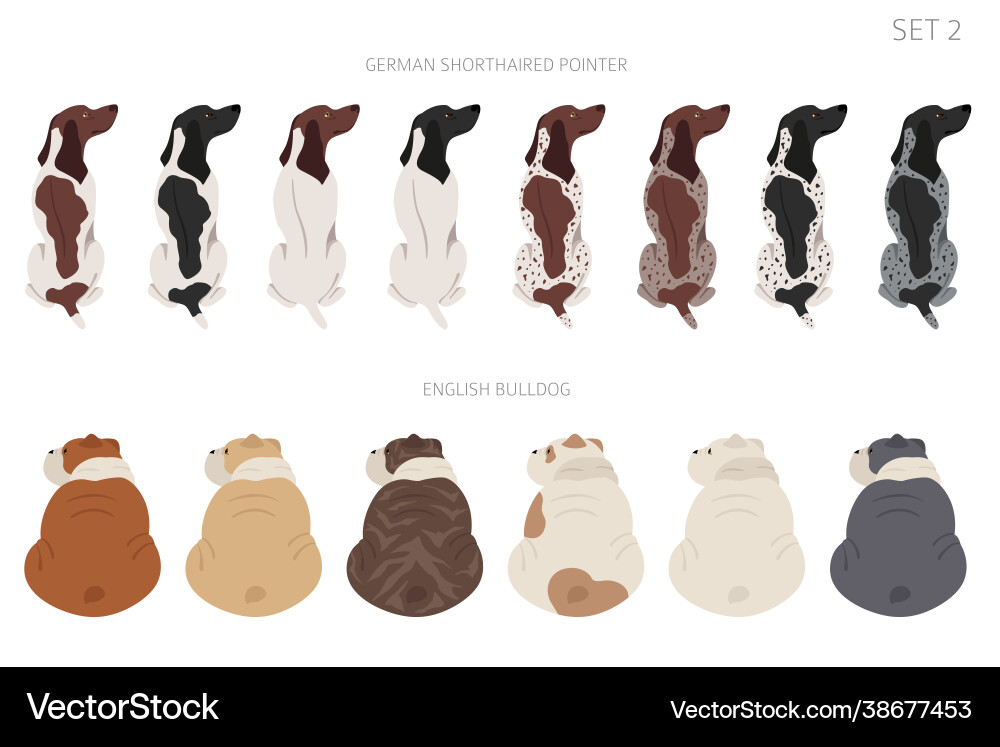 Sitting dogs backside clipart rear view Royalty Free Vector