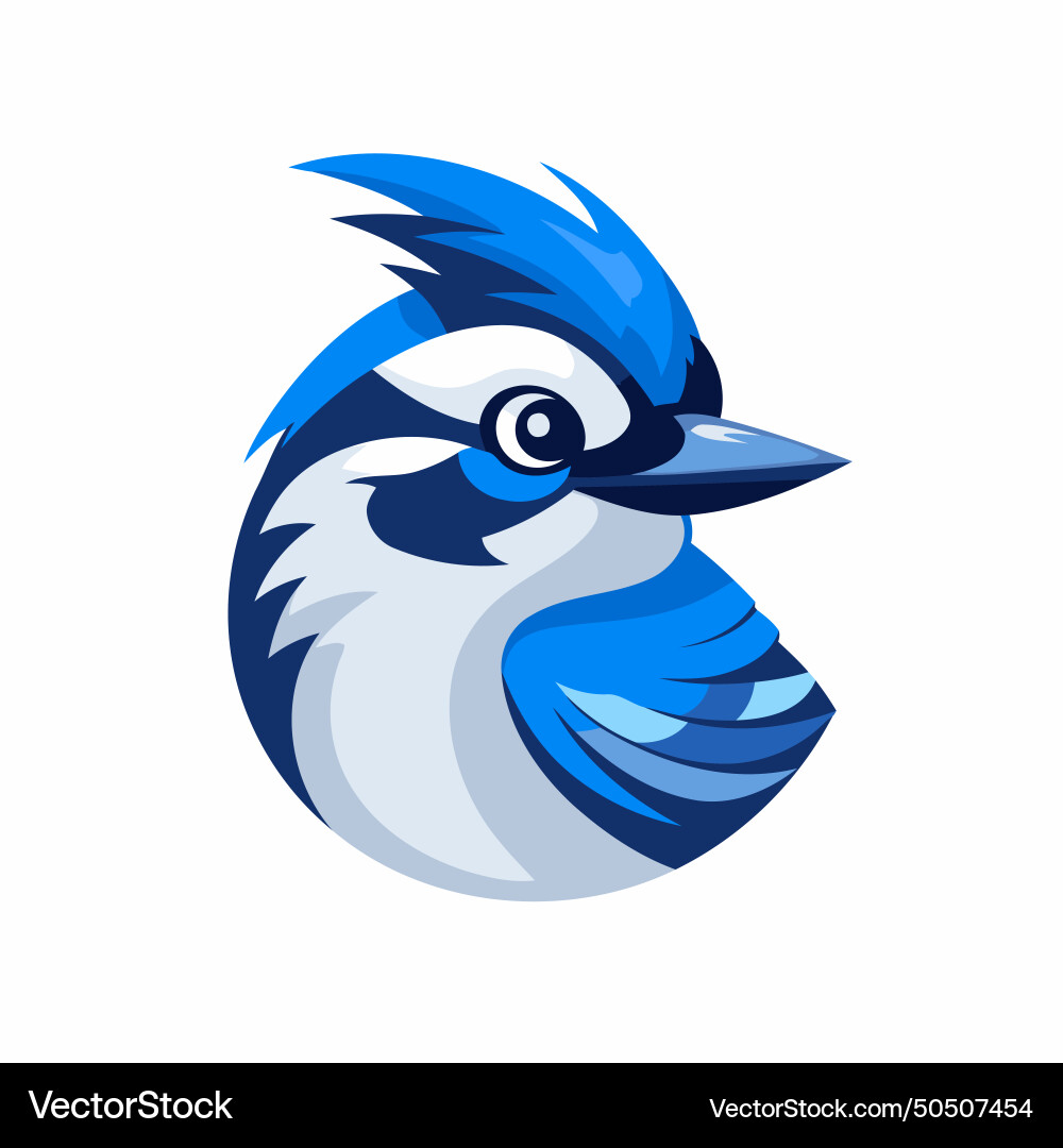 Blue jay bird head isolated on a white background Vector Image
