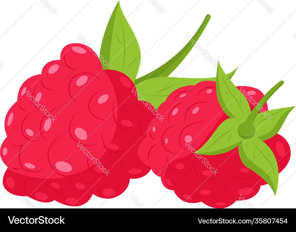 Raspberry fruit berry icon Royalty Free Vector Image