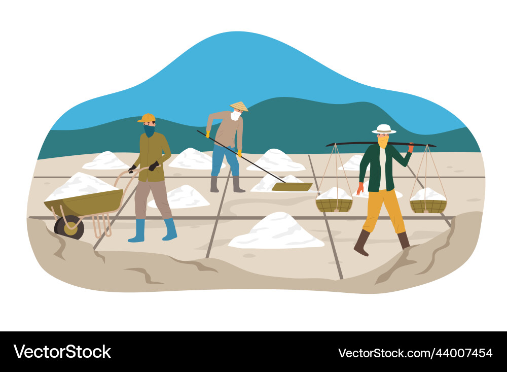 Salt collecting Royalty Free Vector Image - VectorStock