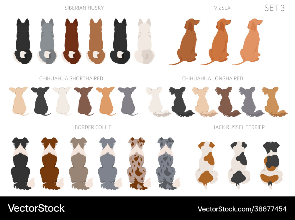 Sitting dogs backside clipart rear view Royalty Free Vector