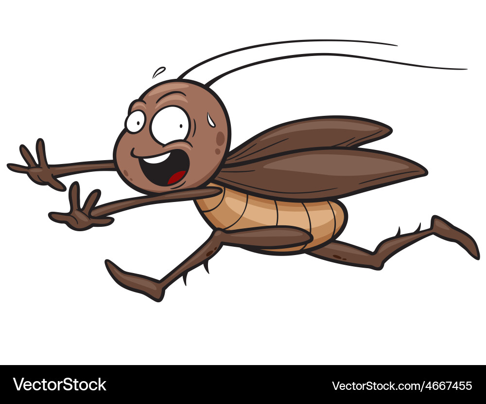 Cockroach Royalty Free Vector Image - VectorStock